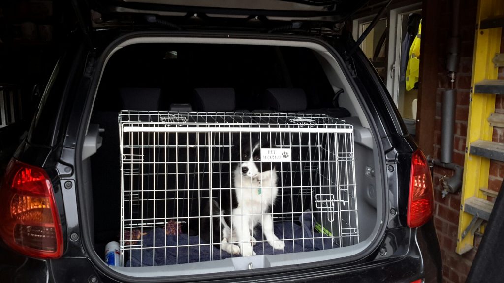 CAR DOG TRAVEL CRATE SUZUKI SX4 | Arrows-UK